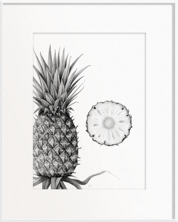 Ananas comosus (Pineapple) – Godmotherbooks